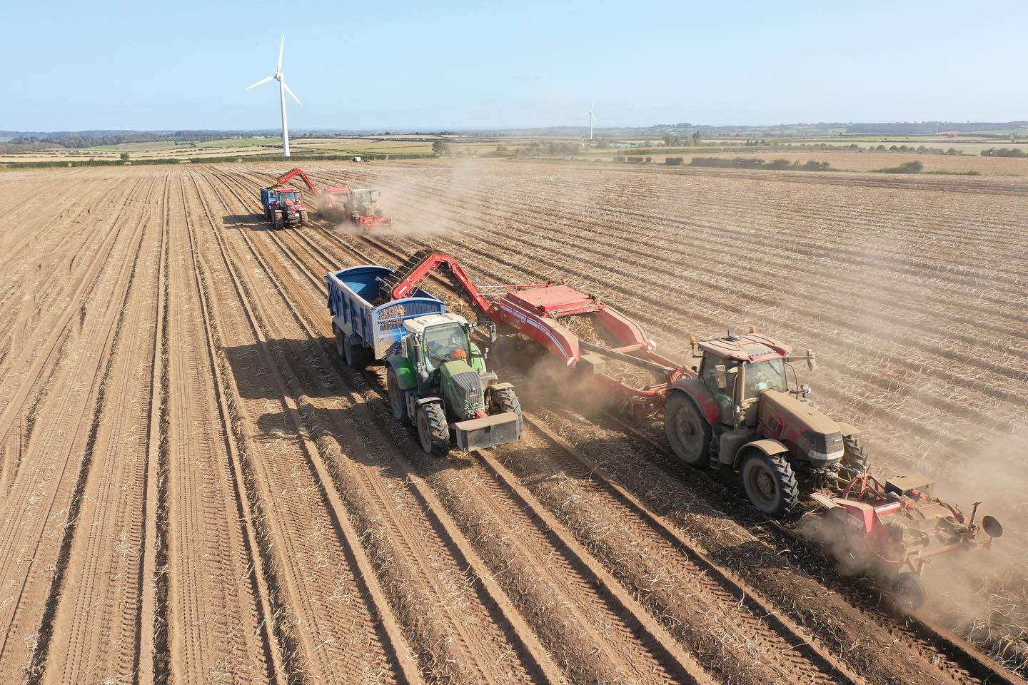 Potatoes - Strawson LTD