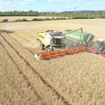 Cereals - Strawson LTD