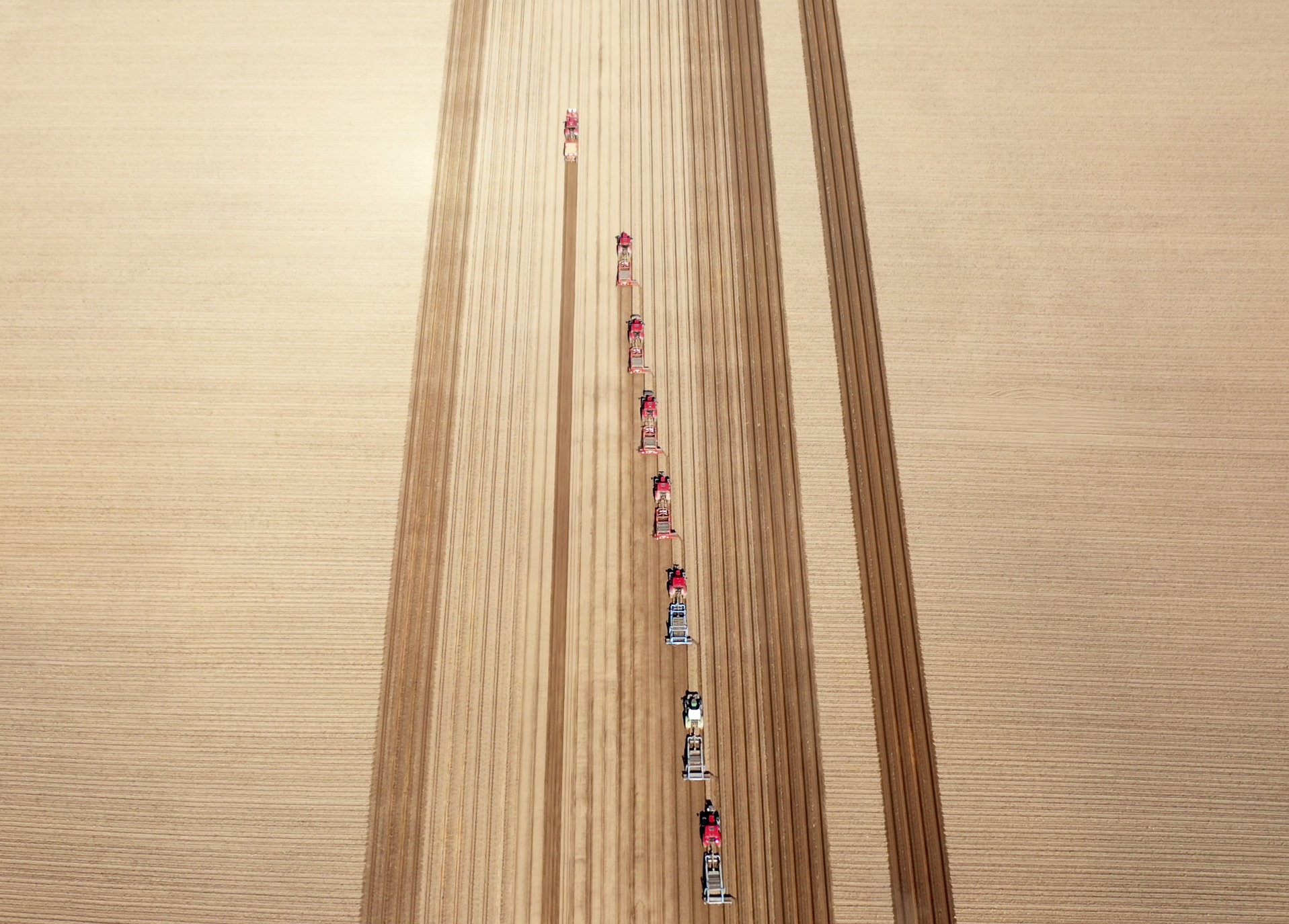 Potatoes - Strawson LTD