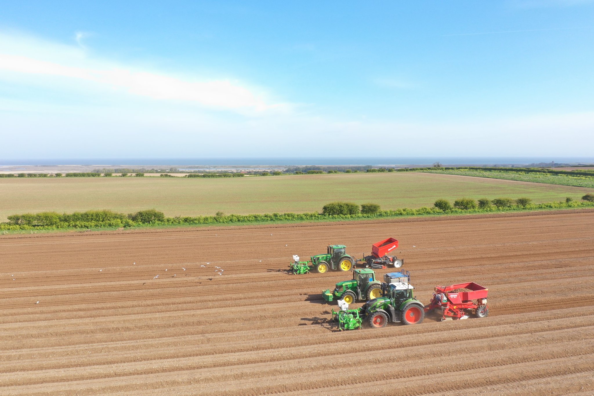 Potatoes - Strawson LTD